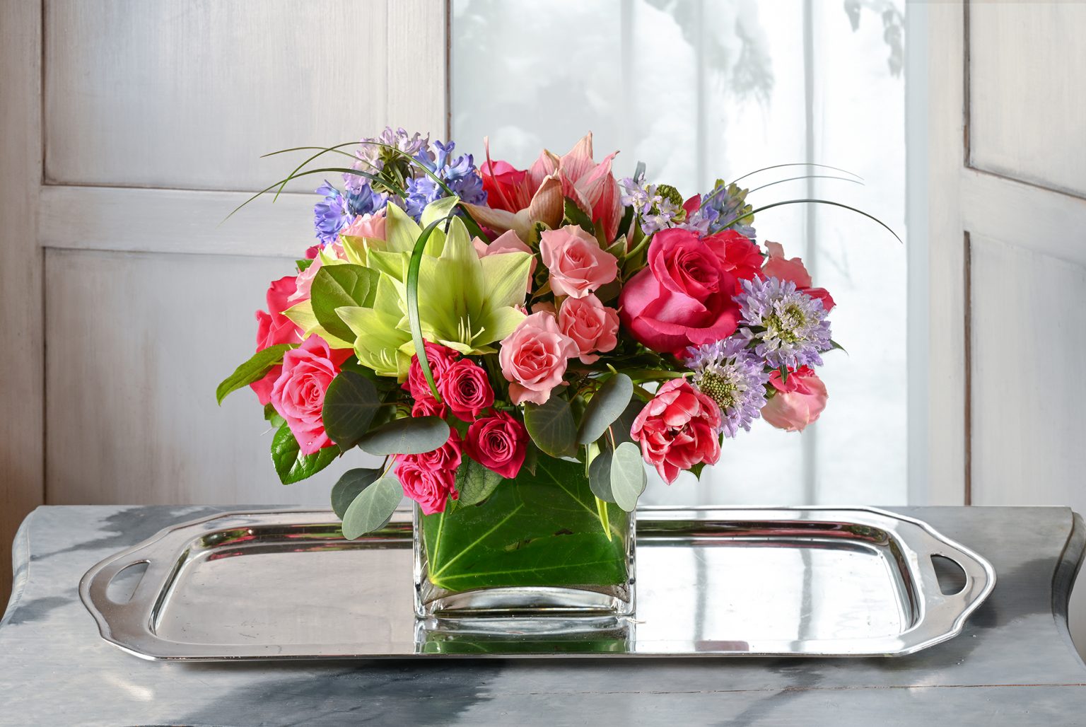 BAILEY Colorful and Bright Fresh Flowers of Early Spring - Robin Wood ...