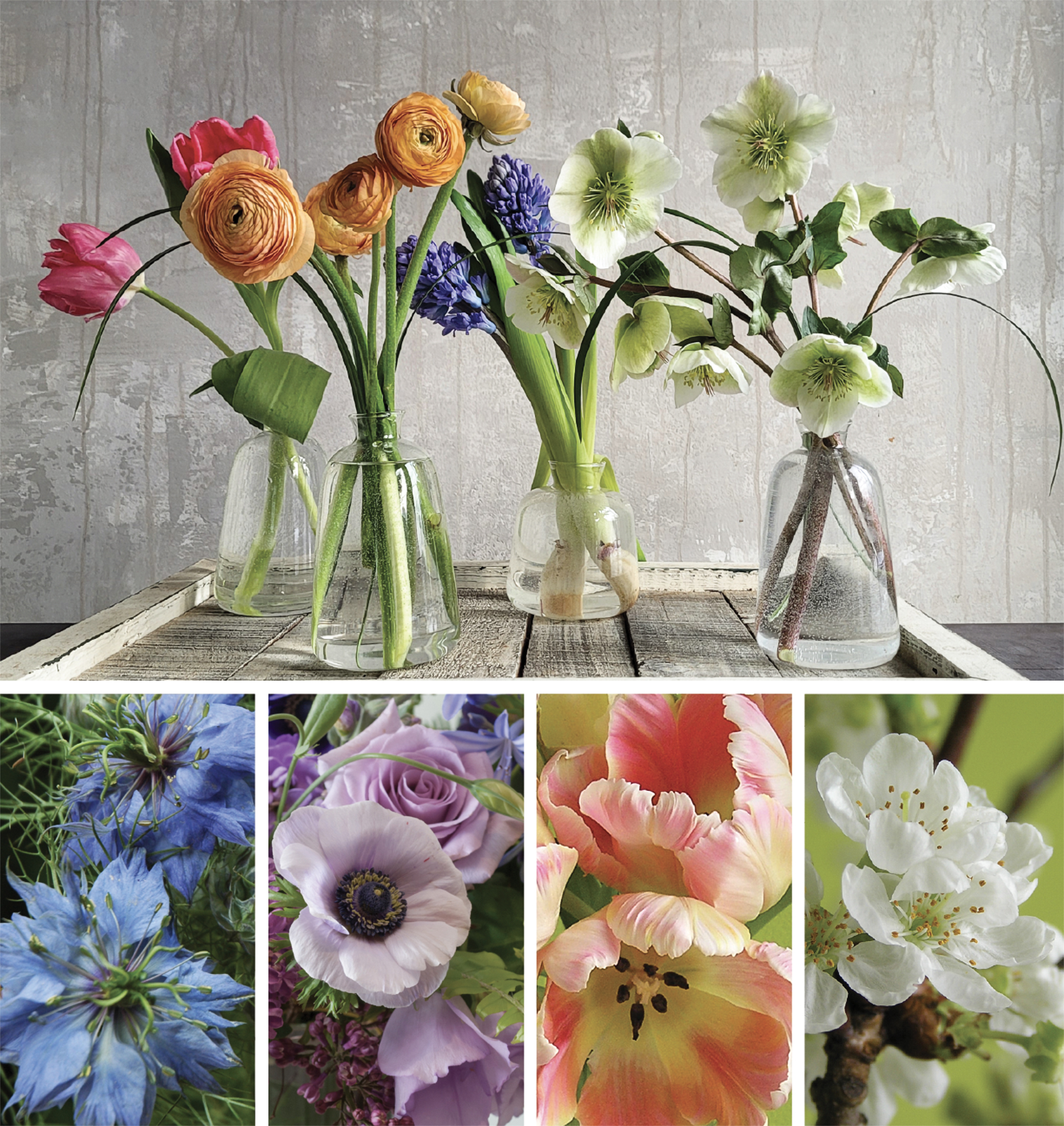 Class Spring 2025 - Robin Wood Flowers